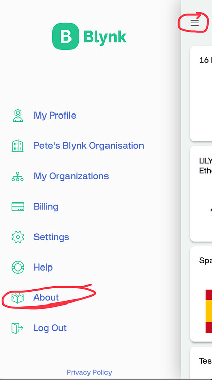 Console login failure to Blynk.cloud - Issues and Errors - Blynk Community